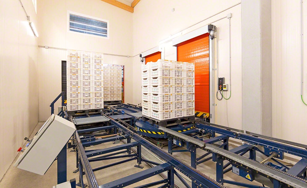 Hacienda La Albuera: fruit and vegetable warehouse - Mecalux.co.uk