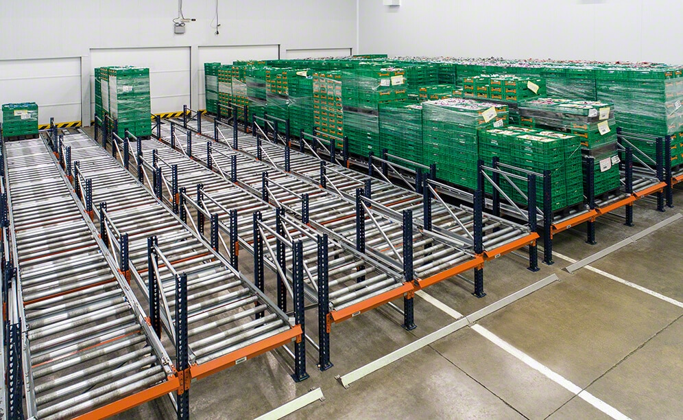 Cold-storage at Grupo Alimentario Citrus - Mecalux.co.uk