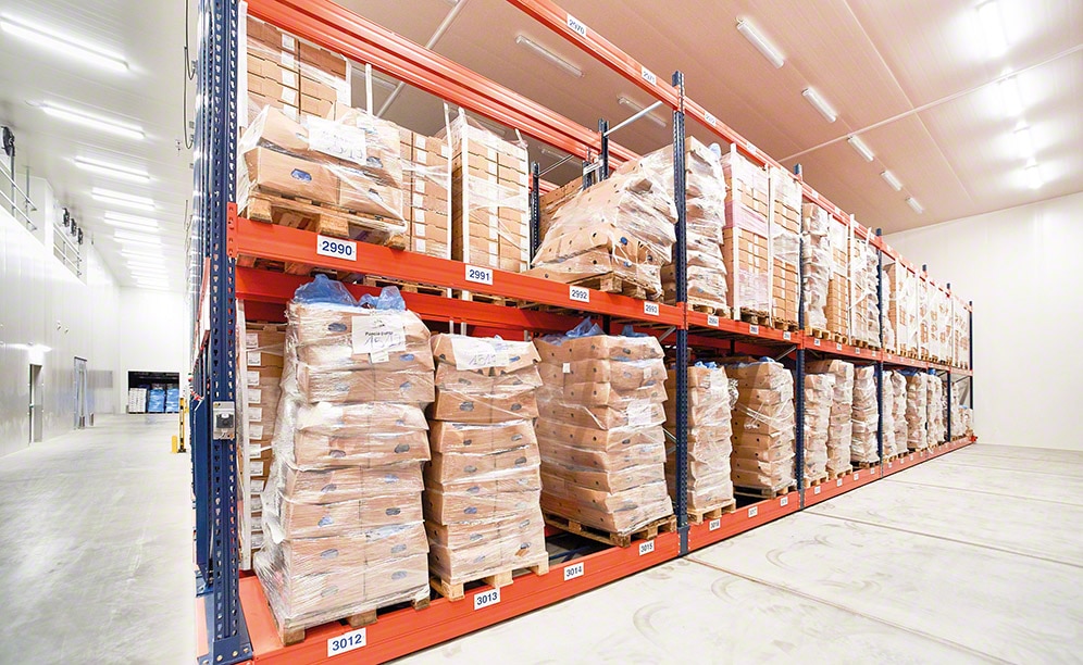 Frozen storage warehouse of Comag in Italy - Mecalux.co.uk