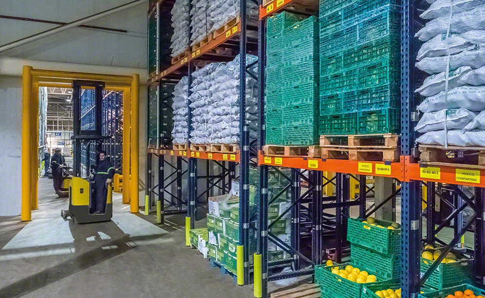 Fresh fruit warehouse of Coto in Argentina - Mecalux.co.uk