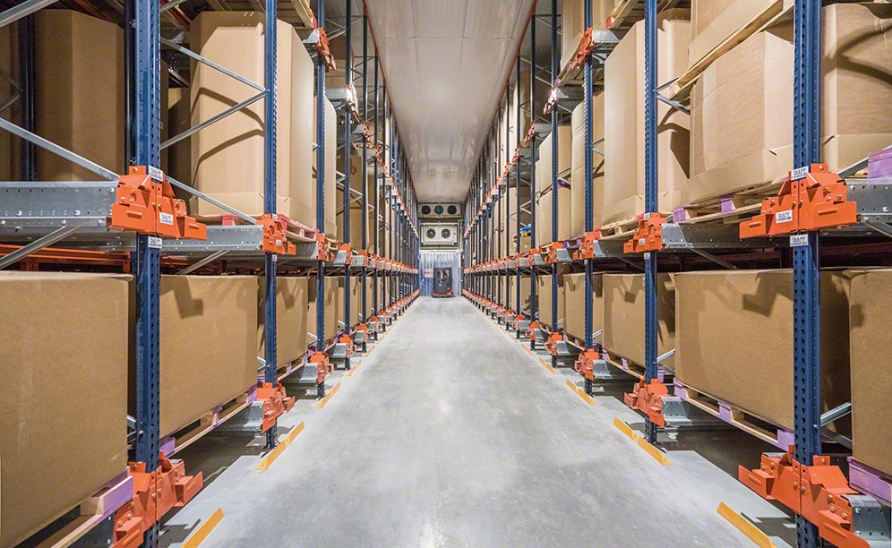 Solutions for storing frozen vegetables – Mecalux.co.uk